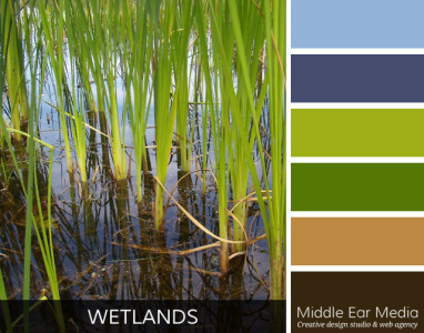 Wetlands Color Palette | Website Design, Marquette MI